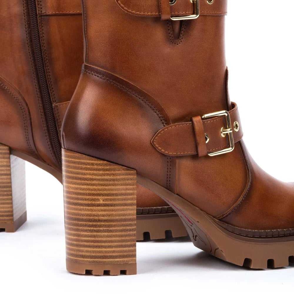 Cervera – Arco Avenue